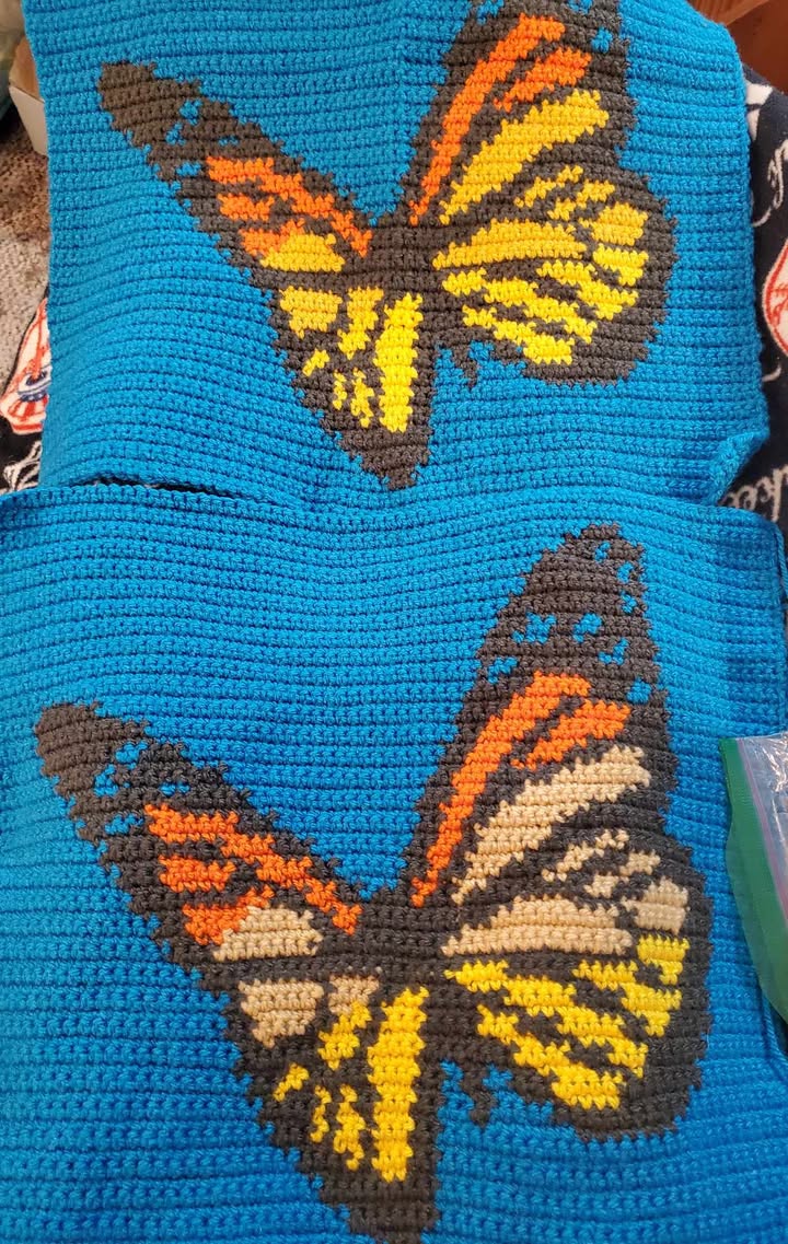 Butterfly Crochet Pillow Pattern – Geeky Graphghans